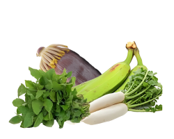 Country Vegetables – OrgFarm