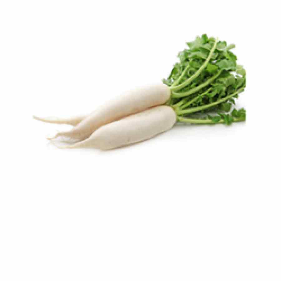 Radish - White – OrgFarm