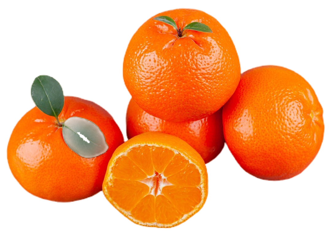 Mandarin Mini Orange – OrgFarm